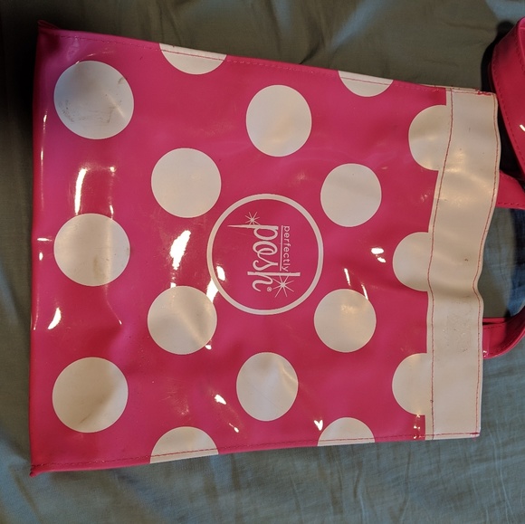 Bags | Perfectly Posh Bag | Poshmark
